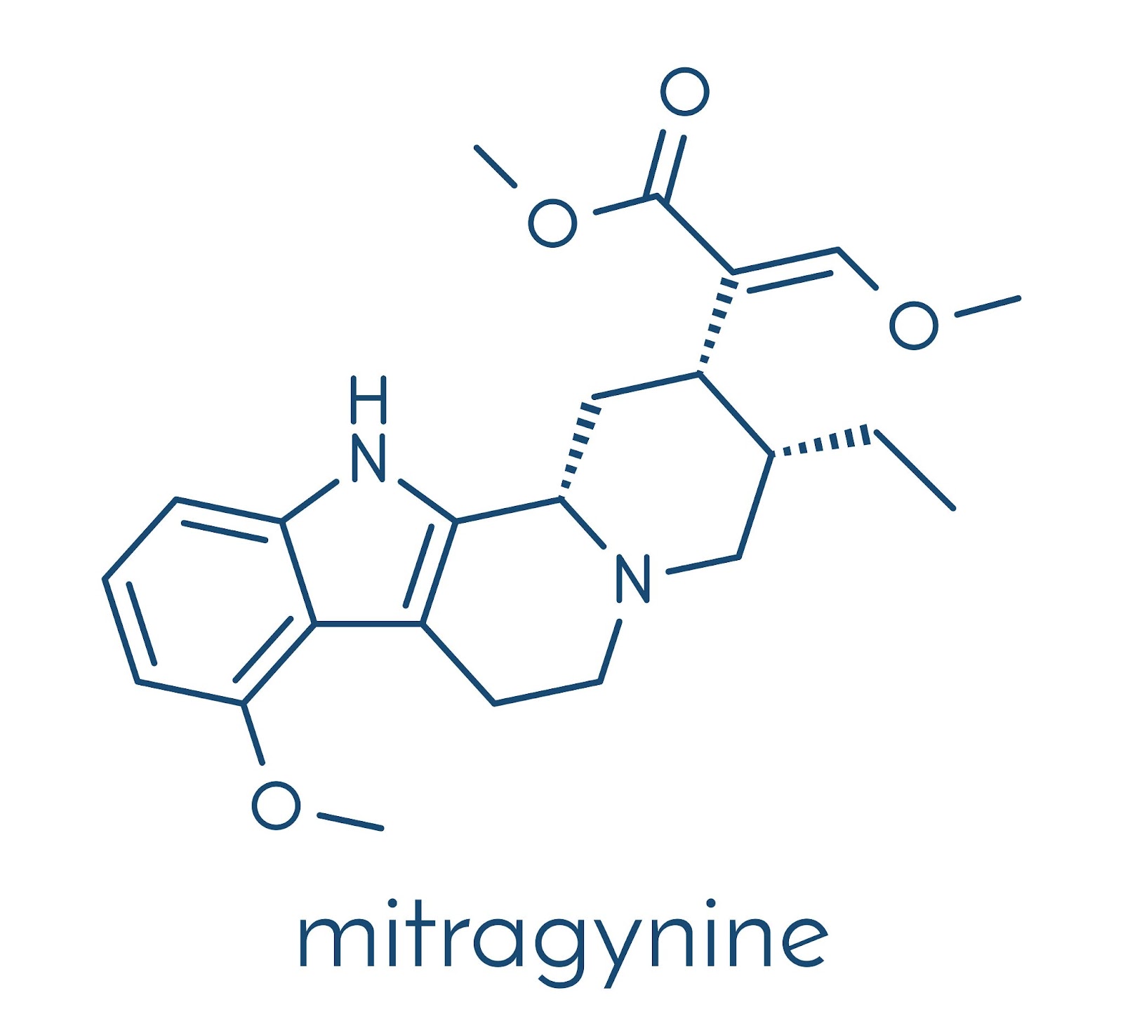 Maeng Da Kratom: Effects, Strains, And Dosage - Mount Kratom